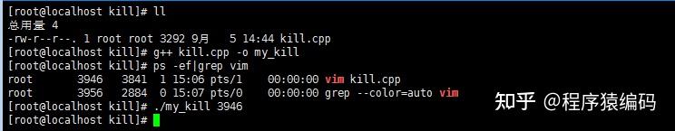 Linux kill命令原理及C/C++源码实现 - 知乎