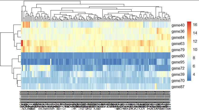 R语言pheatmap绘制基因表达热图 - 知乎