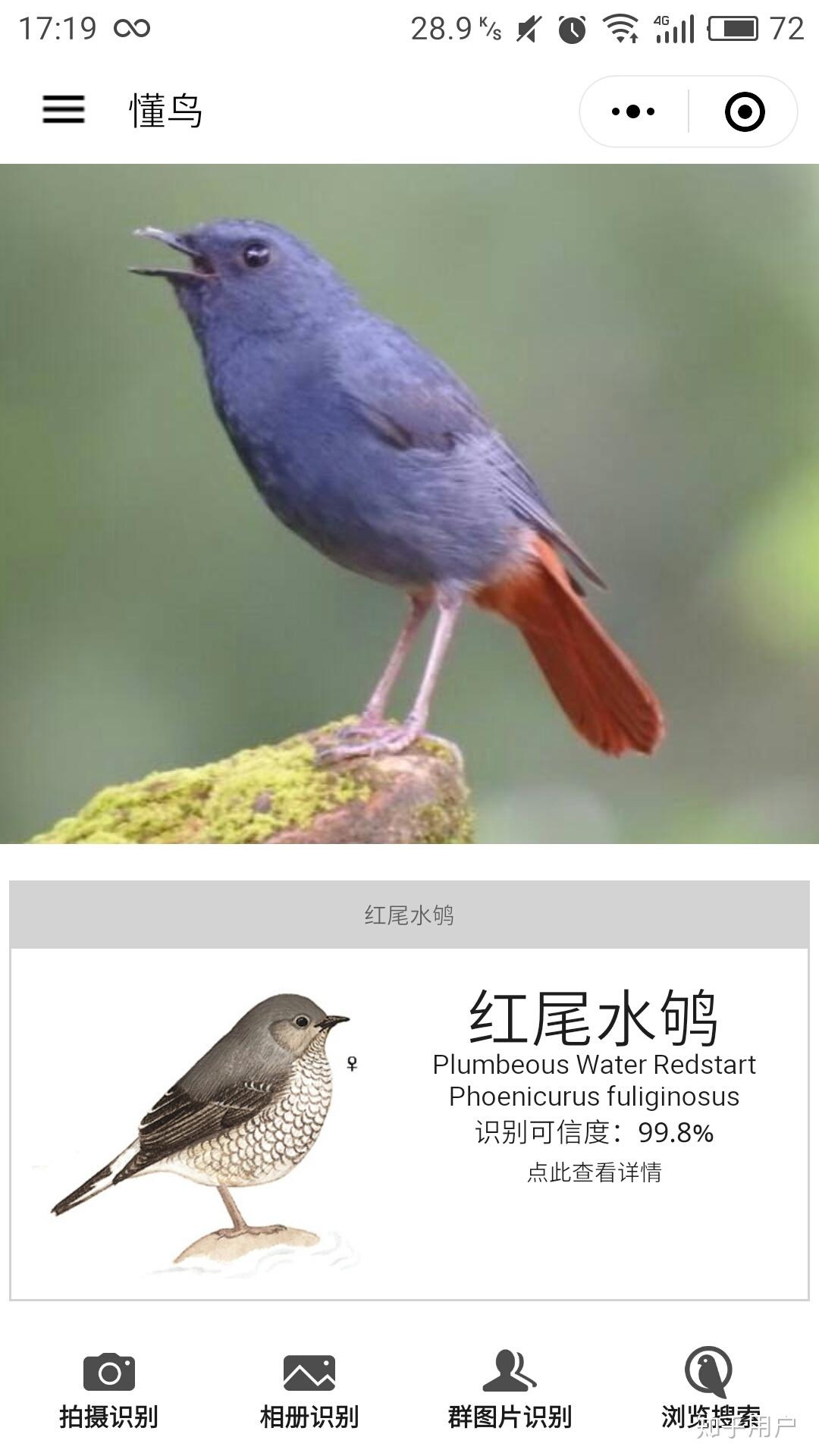 有没有靠谱的识别鸟类软件？ - 知乎