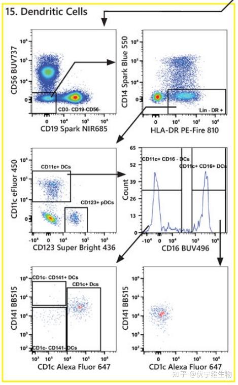 【光谱系列3】40色全光谱流式用于人外周血中主要细胞亚群的深度免疫表型 - 知乎