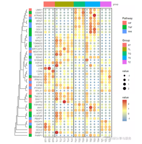 热图5：ggplot2画热图及个性化修饰 - 知乎