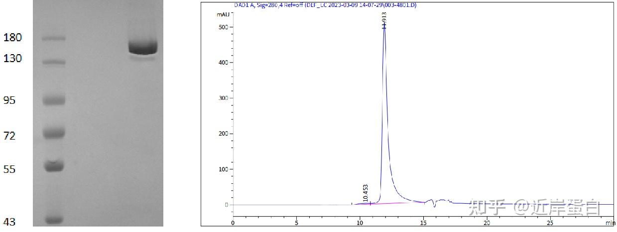 "基因魔剪"-CRISPR/Cas9系统介绍及转染体系选择 - 知乎