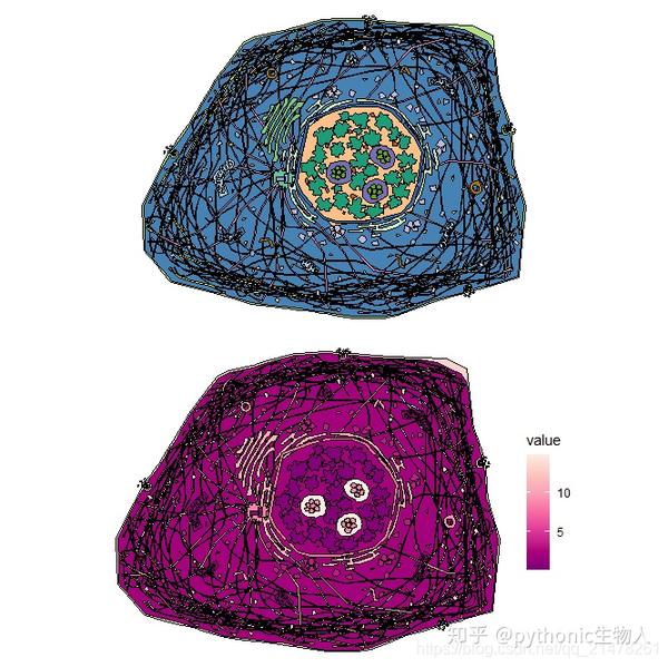 R可视化15|27种常见物种解剖图轻松绘制 - 知乎