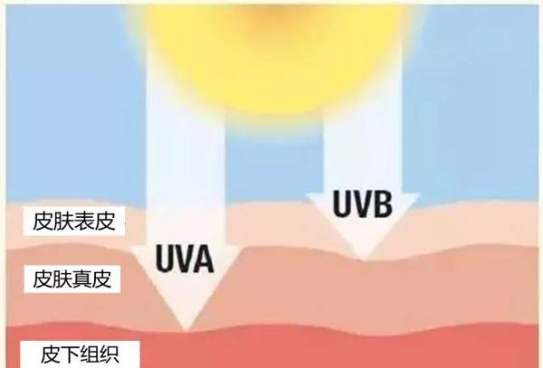 UVA&UVB | 防晒霜上面的SPF/PA又是什么意思？ - 知乎