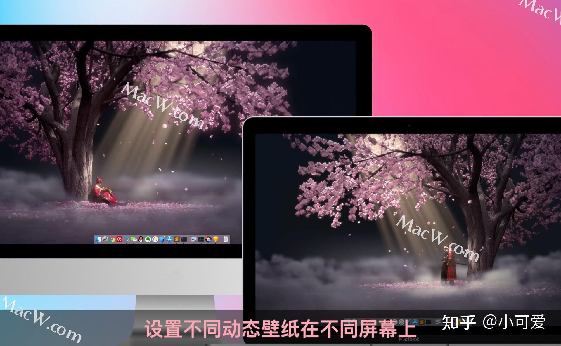 动态壁纸Dynamic Wallpaper灵动你的桌面！ - 知乎