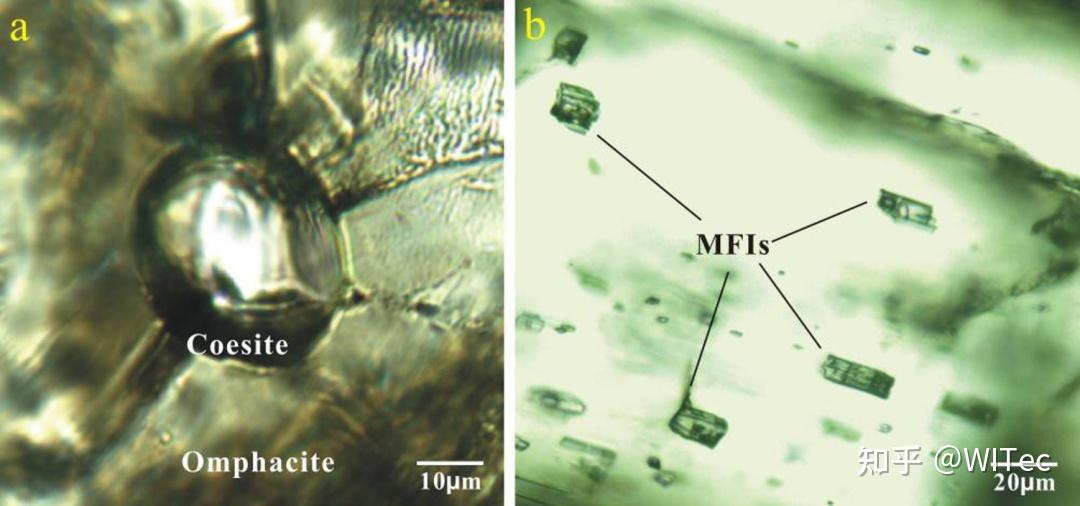 PNAS | 超高压变质脉中的多相流体包裹体揭示了深俯冲带中的超临界流体 - 知乎