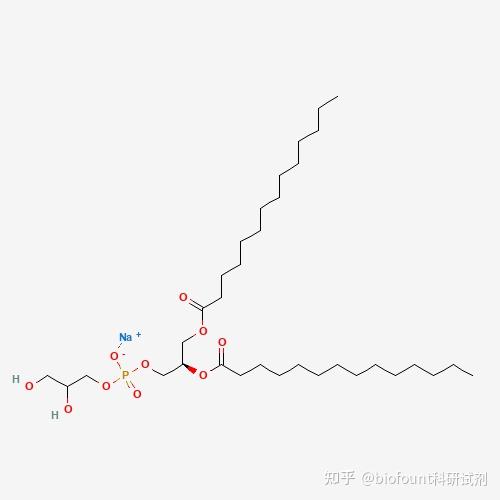 DMPG； 磷脂酰甘油 - 知乎