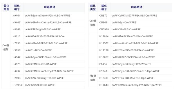 又见Cre！Cre/Loxp系统应用全攻略 | 知识点分享 - 知乎