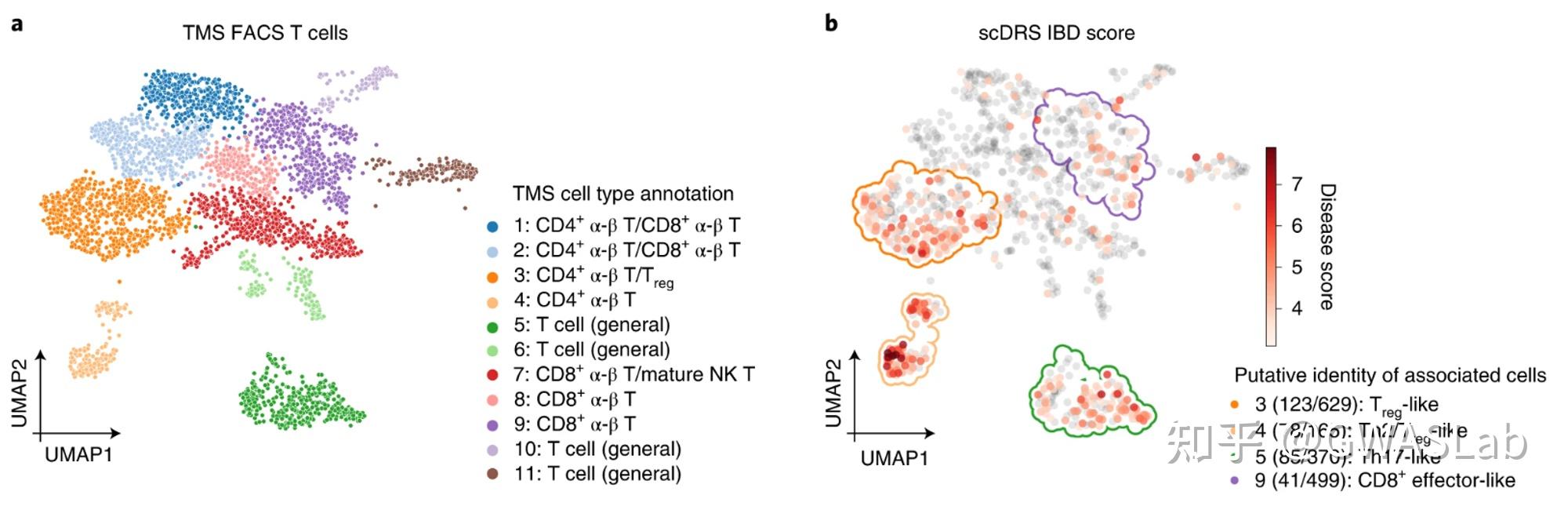 scDRS 单细胞疾病相关分数 - 知乎