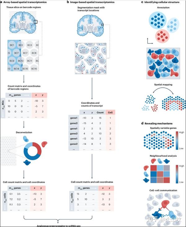 热点综述 | 跨模态单细胞分析的最佳实践 - 知乎