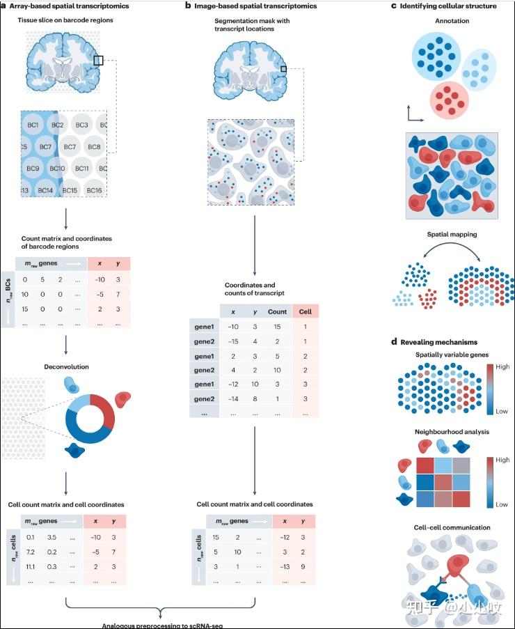 热点综述 | 跨模态单细胞分析的最佳实践 - 知乎