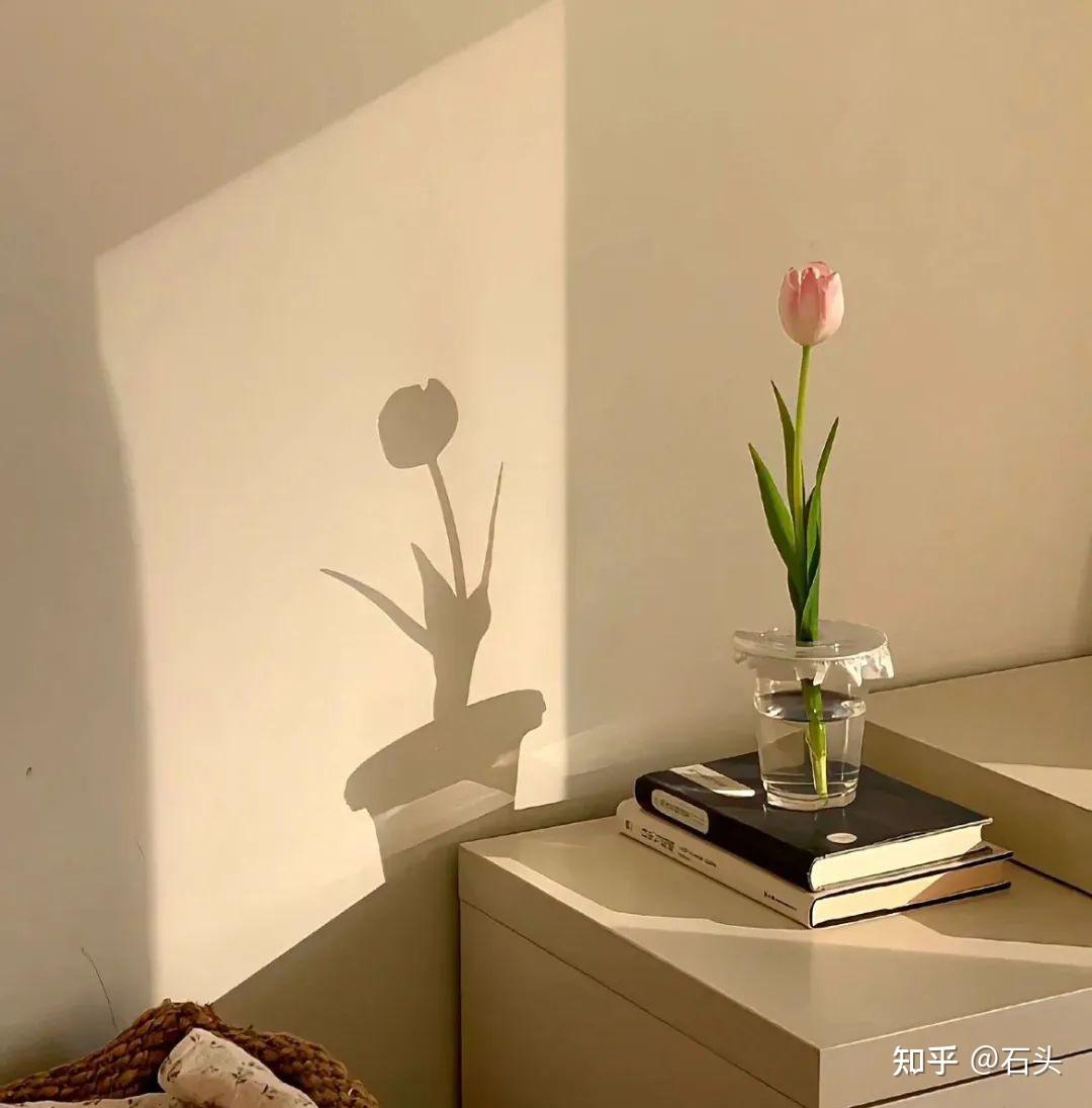 ins风背景图48张，高清无水印 - 知乎