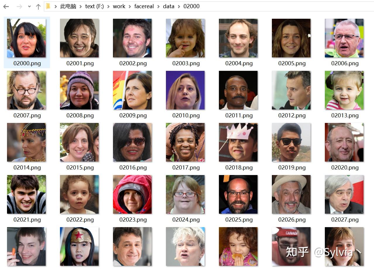 基于深度学习的图像修复系统设计与实现（PyQt5、CodeFormer ffhq-dataset数据集） - 知乎