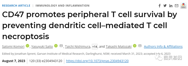 PNAS | 首次发现：树突状细胞负责清除CD47缺陷细胞 - 知乎