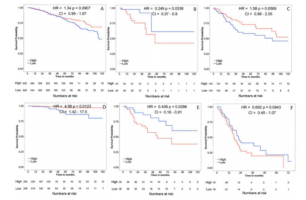 Claudins靶点梳理 - 知乎