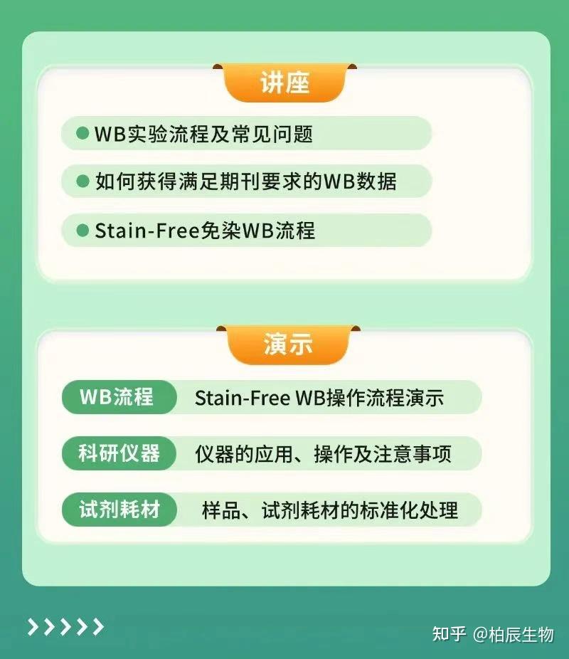 柏辰带您走进WB Stain-Free Workshop 2025：探索WB技术的奥秘 - 知乎