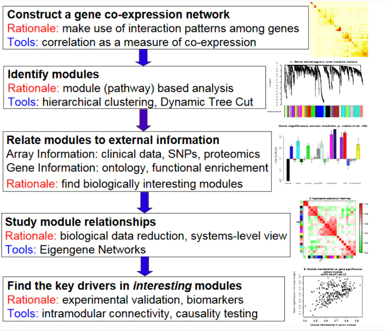 加权基因共表达网络分析 (WGCNA）| 共表达网络模块构建 |生物信息学数据分析必备技能 - 知乎