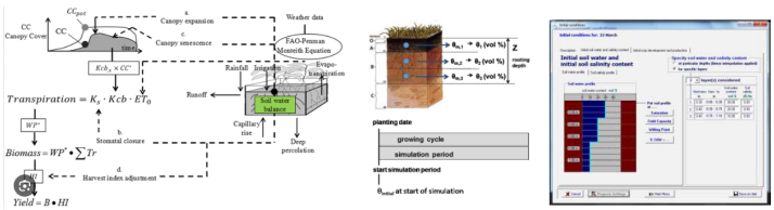 AquaCrop模型运行及结果分析；AquaCrop模型农业水资源管理及代码解析 - 知乎