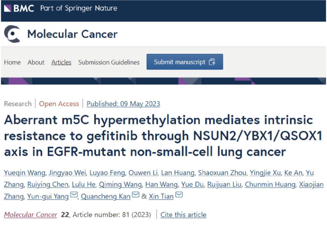 Molecular Cancer：郑州大学田鑫/阚全程等发现EGFR突变非小细胞肺癌中对吉非替尼耐药性的潜在机理 - 知乎
