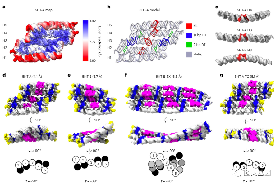 Nature Nano | 共转录RNA折纸的结构、折叠和灵活性 - 知乎