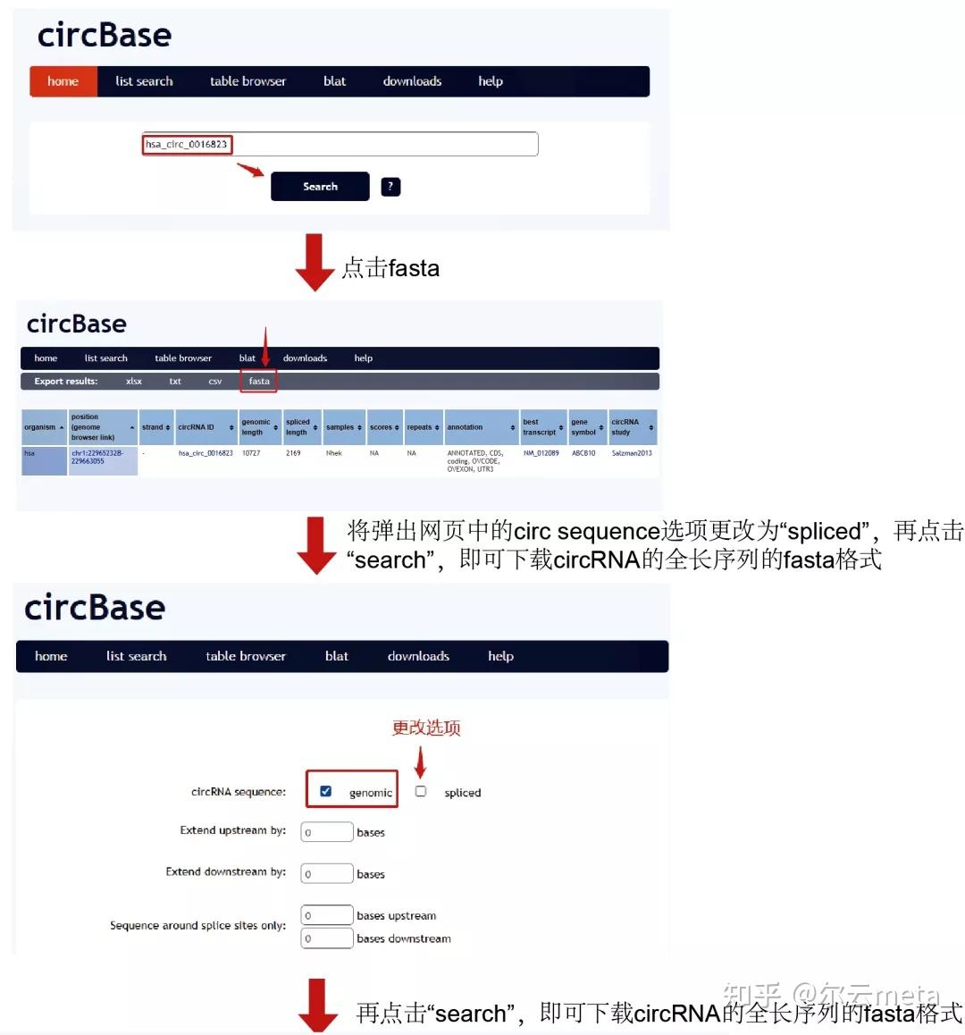 【科研干货】手把手教你做circRNA 系列引物设计！ - 知乎