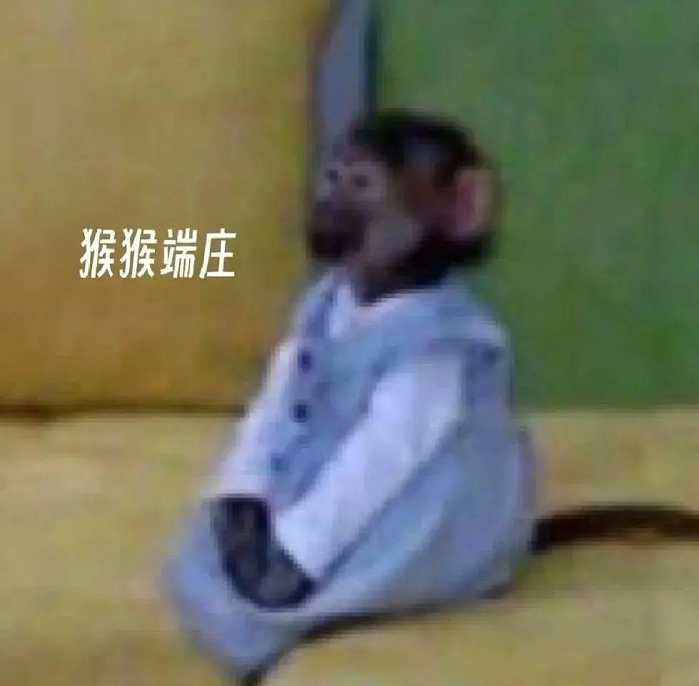 吗喽表情包、猴子表情包，高清无水印 - 知乎