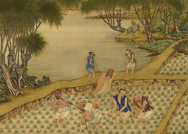 丰收之季,细说中国古代农业农具发展史 知乎
