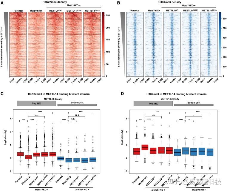 易基因：ChIP-seq等揭示METTL14调控哺乳动物二价结构域的表观遗传机制｜科研进展 - 知乎
