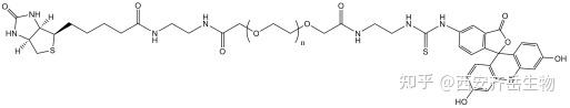 FITC-PEG-BIOTIN 荧光聚乙二醇修饰骨髓间充质干细胞的文献分享 - 知乎