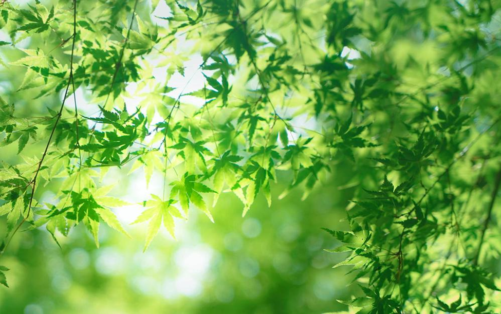 《绝对演绎》高品质次表面散射：Disney SSS - 知乎