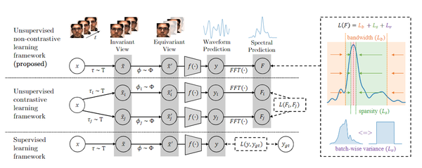 【rPPG论文阅读】Non-Contrastive Unsupervised Learning of Physiological Signals from Video - 知乎