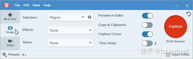 使用Snagit截取图片（Image） - 知乎