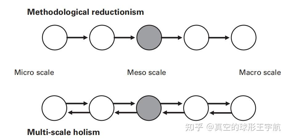 从运动科学到神经科学：Wilson-Cowan模型（附Netloog源码） - 知乎