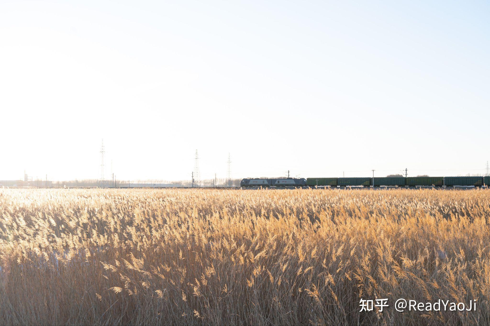 尼康z62近期使用报告 - 知乎