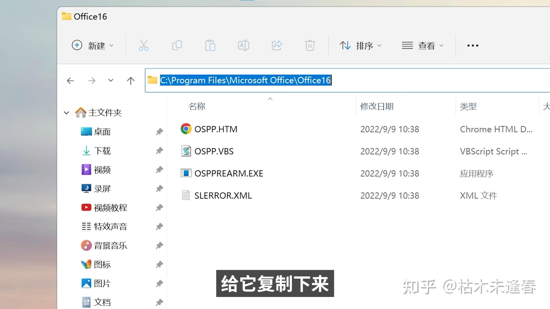 如何免费获取正版Office软件？你要的都在这里了！！ - 知乎