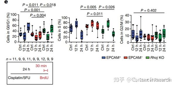 Nature|RHOJ控制EMT相关的化疗耐药性 - 知乎
