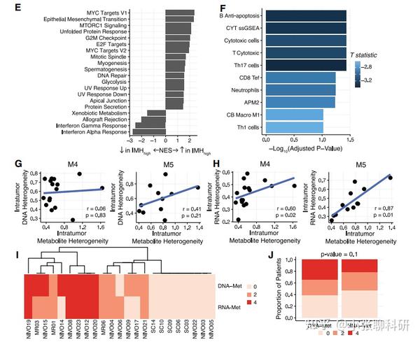 肿瘤代谢组学分析不会做？带你深度细节解析29分文章思路 - 知乎