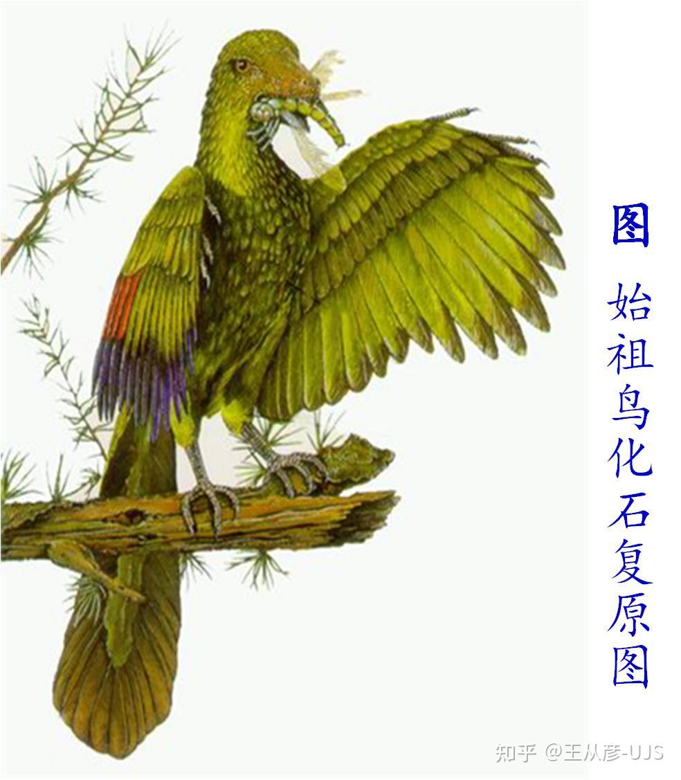 物种的形成步骤及其方式 - 知乎