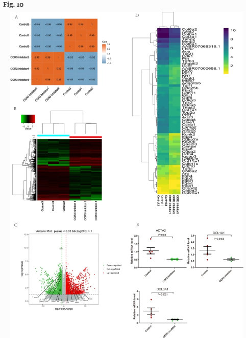 CCL24/CCR3轴通过刺激M2型巨噬细胞极化和成纤维细胞活化在Ang II诱导的心力衰竭中发挥核心作用 - 知乎