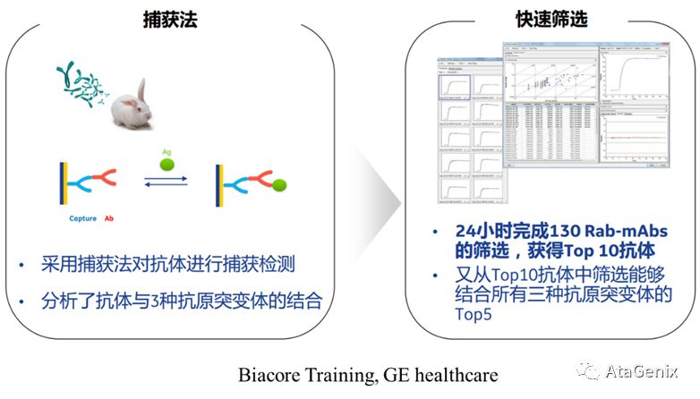 干货—Biacore分子间相互作用在科研中的应用最全汇总 - 知乎