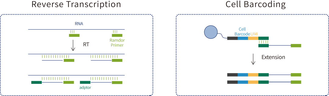 国产单细胞仪器大崛起？来看M20 VITA和10x Flex石蜡样本数据对比分析～ - 知乎