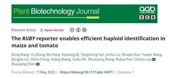 RUBY报告系统 | 一种新的可直接通过肉眼观察植物组织累积红色甜菜碱的报告系统 - 知乎