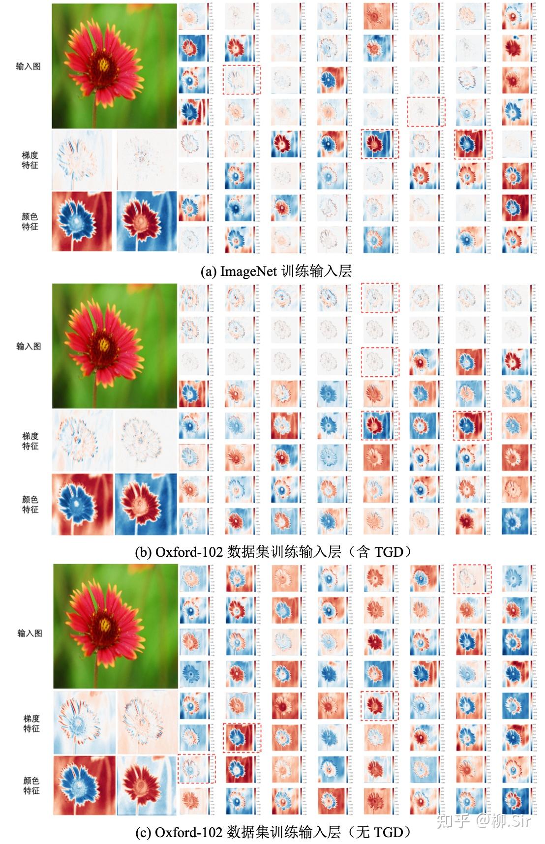 TGD第十一篇：卷积神经网络中的TGD特征 - 知乎