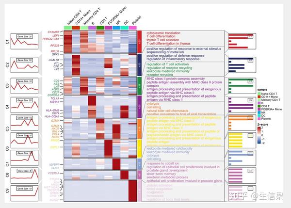 跟着老俊俊大神学习ClusterGVis进行单细胞数据可视化 - 知乎