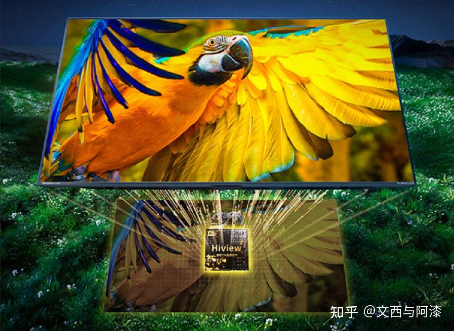 2024年618想买电视？可以看看海信电视E5N Pro - 知乎