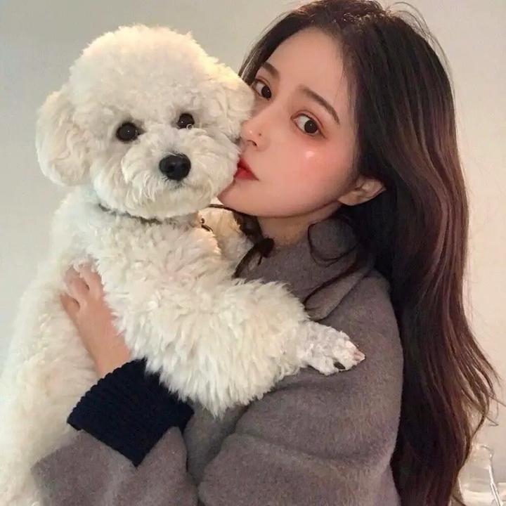 Under是“在下面”，dog是“狗”，那么Underdog 是什么意思？ - 知乎