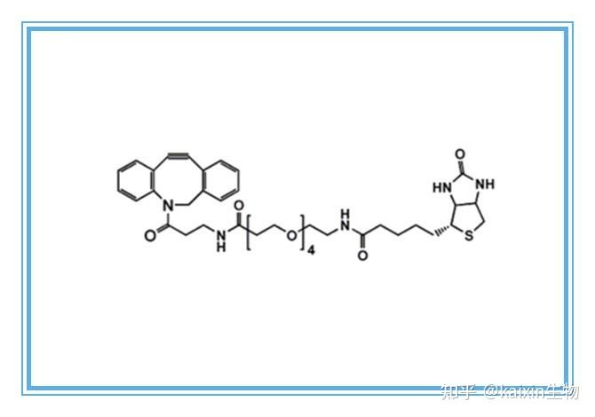 生物素点击试剂1255942-07-4，DBCO-PEG4-Biotin，生物素-PEG4-二苯基环辛炔 - 知乎