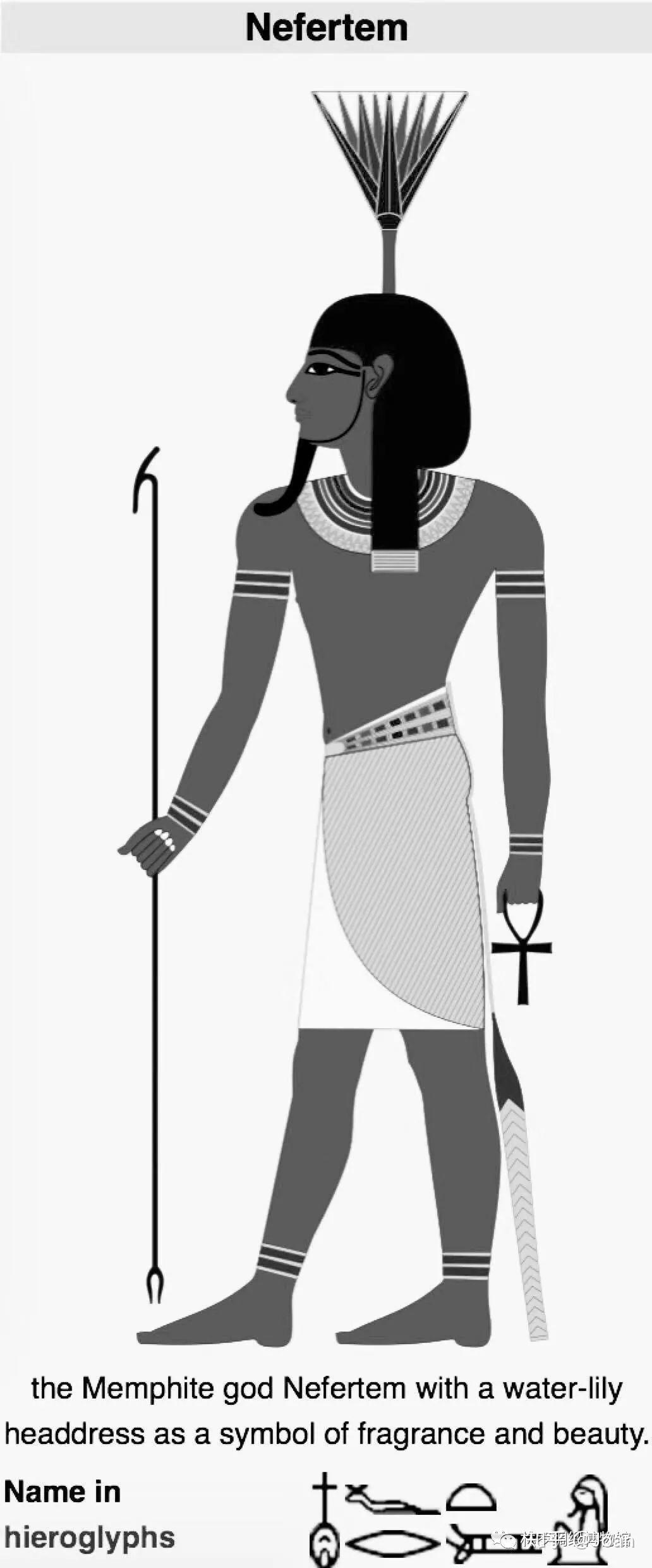 MUSEO EGIZIO 都灵埃及博物馆 - 知乎