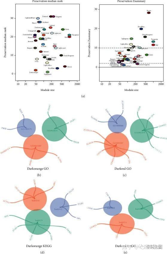 4+ WGCNA模块选择新思路：模块保存分析 - 知乎