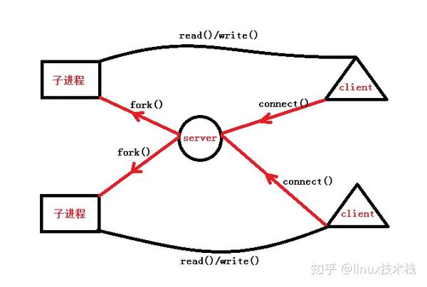 Linux C 高并发服务器 多进程并发服务器实现 知乎 